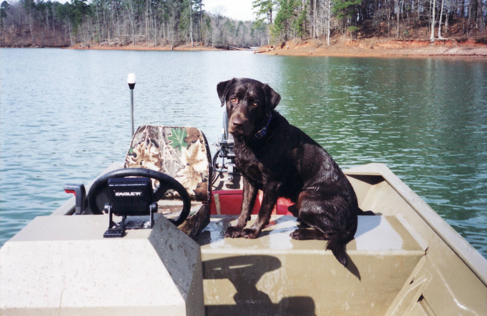 A Final Resting Place: Saying Goodbye to the Most Adorable Chocolate ...