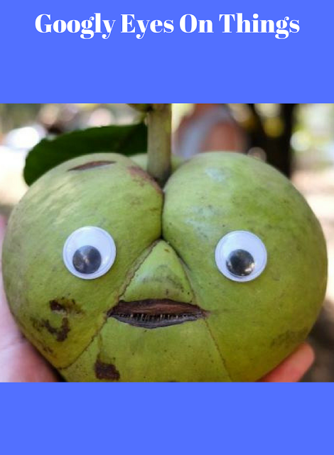 Googly Eyes On Things | My Crazy Email