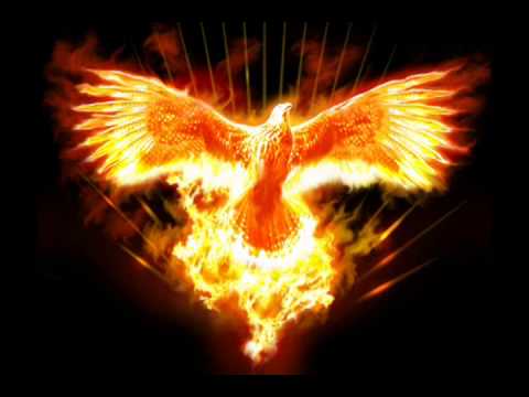 Feniks: Feniksowe opowieści