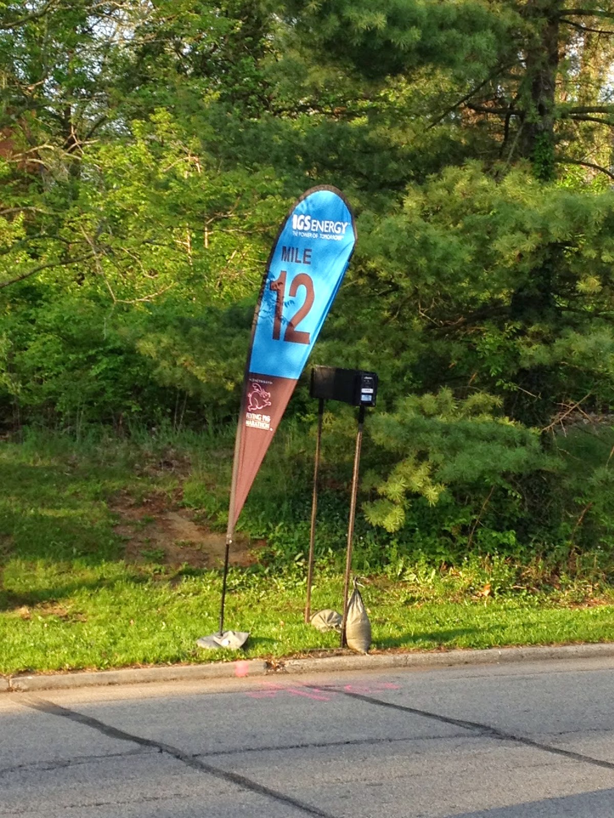 I ADVISE U: Flying Pig Marathon Relay Race Report