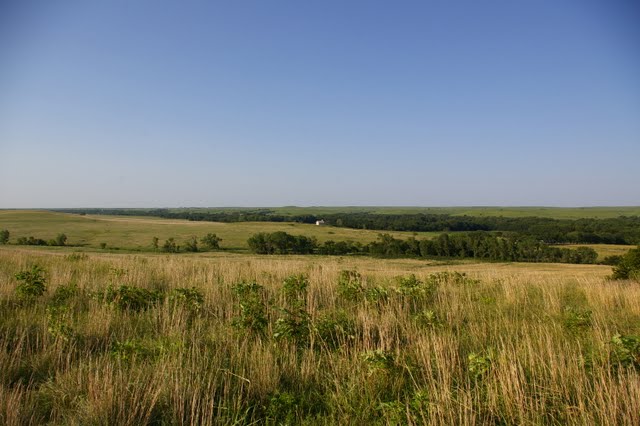 The Grackle: Tallgrass Prairie National Preserve