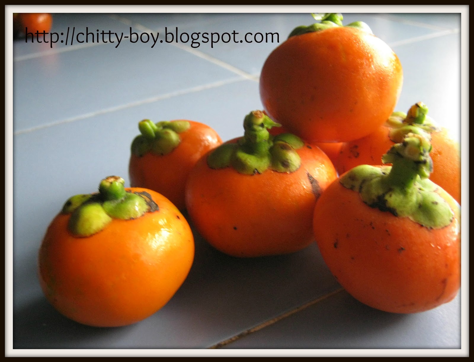 Chitty Boy and Me: Mencepu Fruit