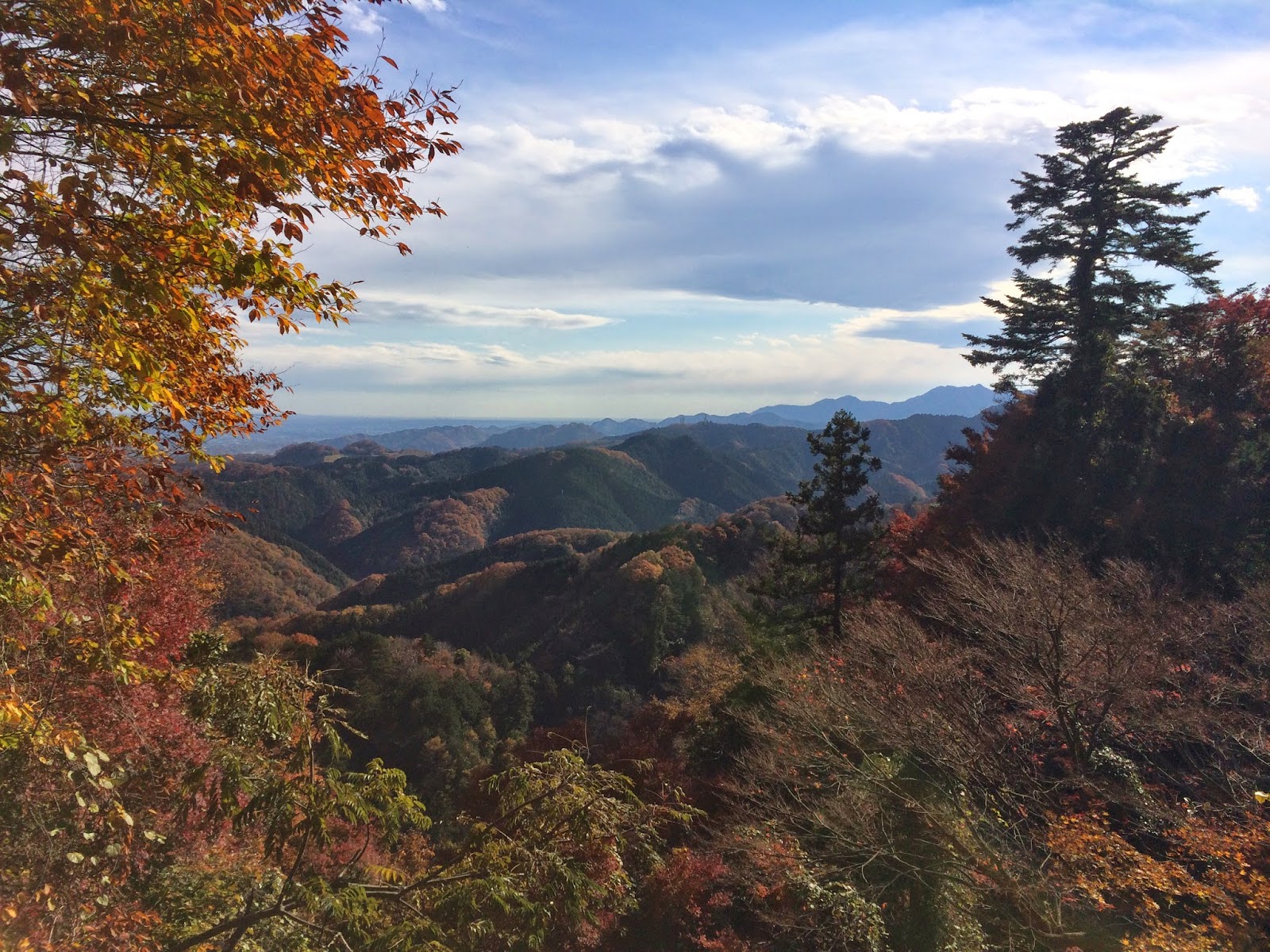 Climbing Mount Takao - Tokyo, Japan ~ Kirsten Leigh's Travel Stories