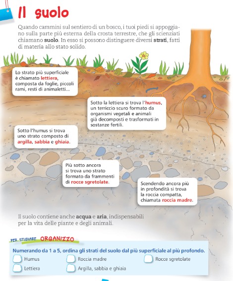 maestra romina: LAPBOOK SUGLI STRATI DEL SUOLO