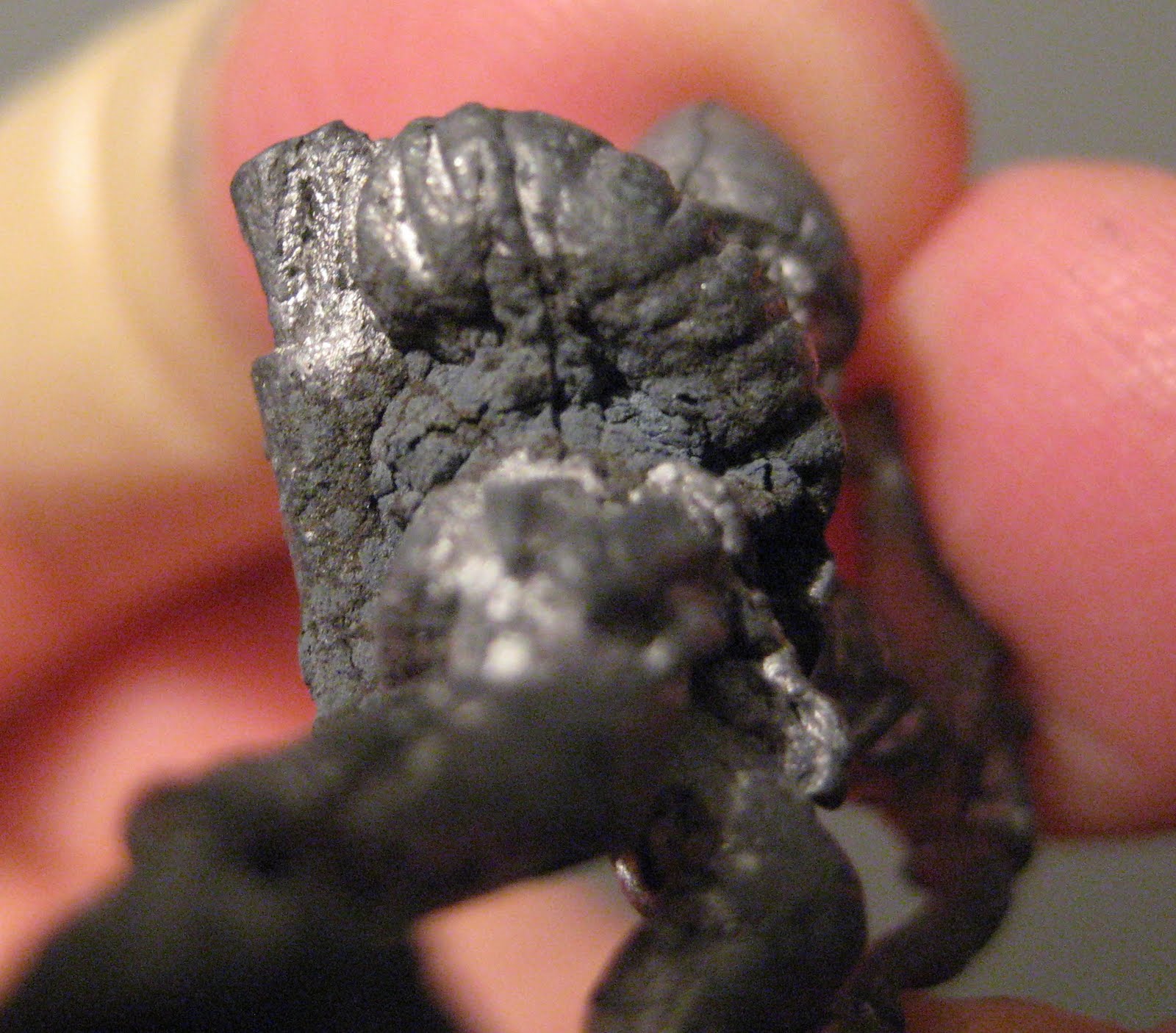 Ghola Scale: Lead Rot: Plague of Metal Minis