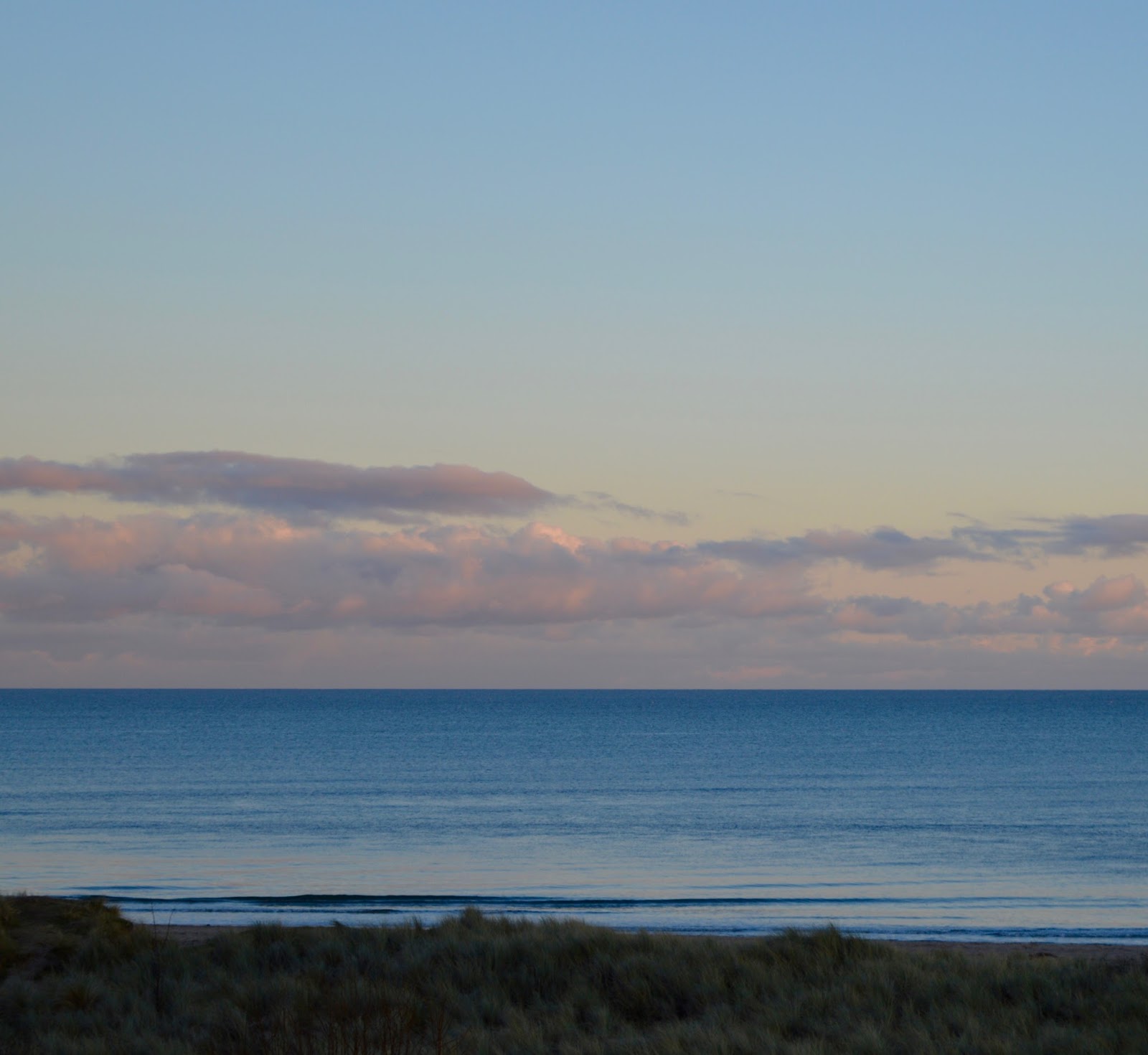 South View House, Alnmouth - A high-tech & spacious family (and dog ...