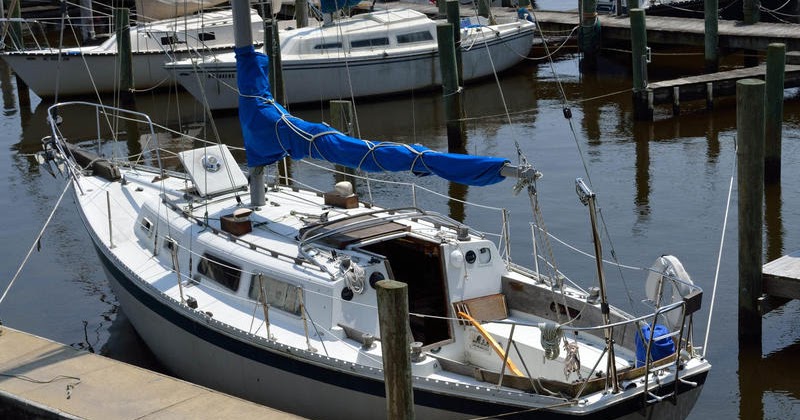 VolksCruiser: On the comparitive cost of yams...