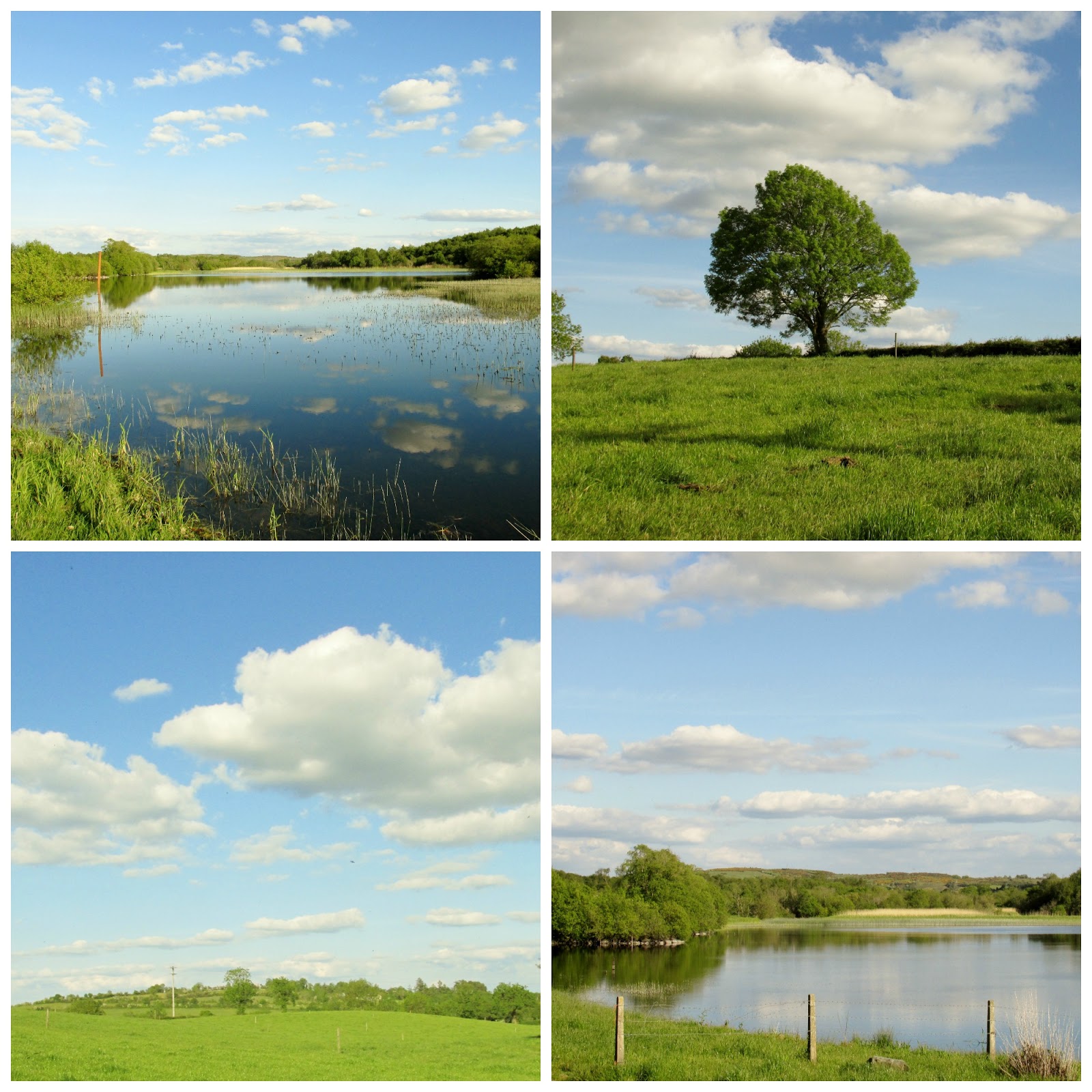 Summer Sunshine in Ireland - All things nice...