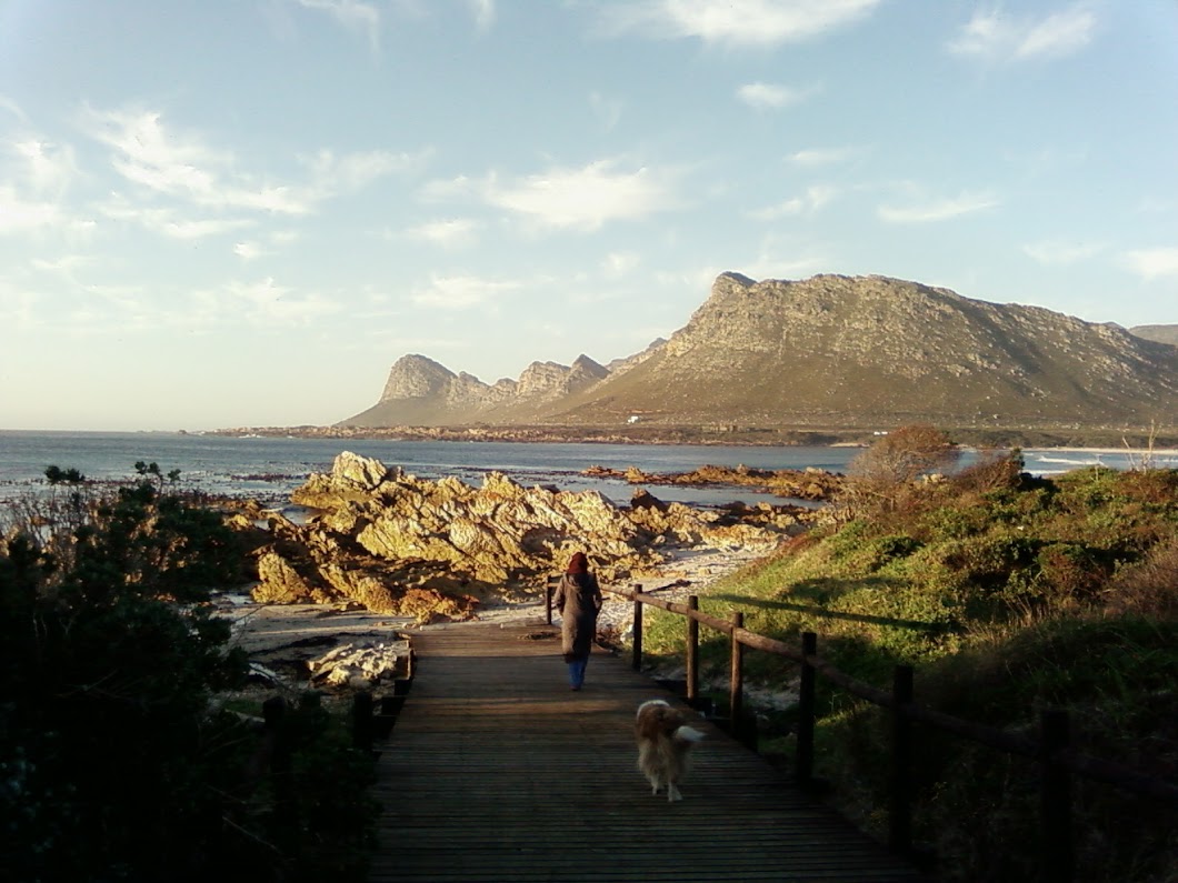 Photos from the Cape: Pringle Bay