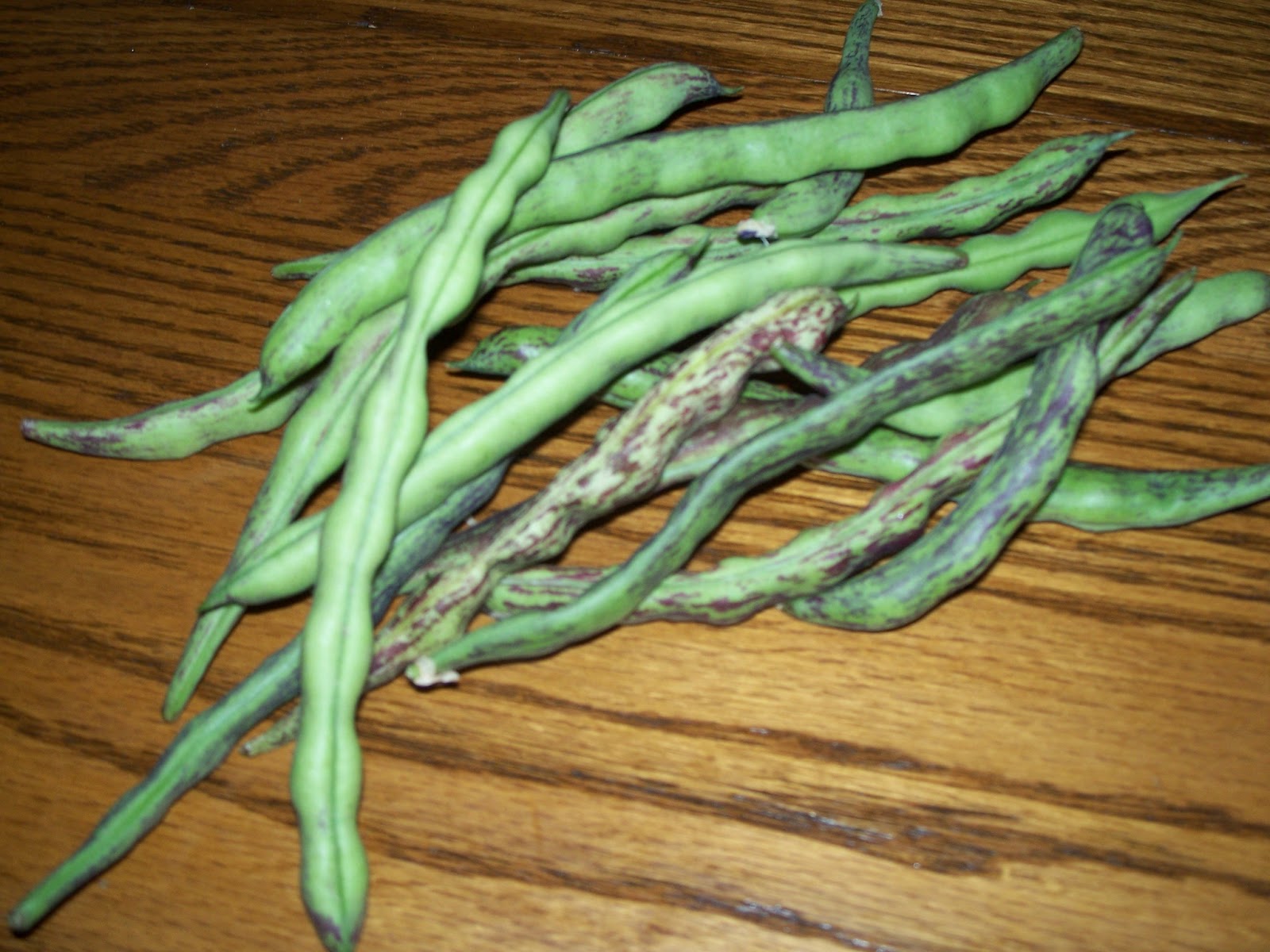 Raisin' Acres Farm: Rattlesnake Beans