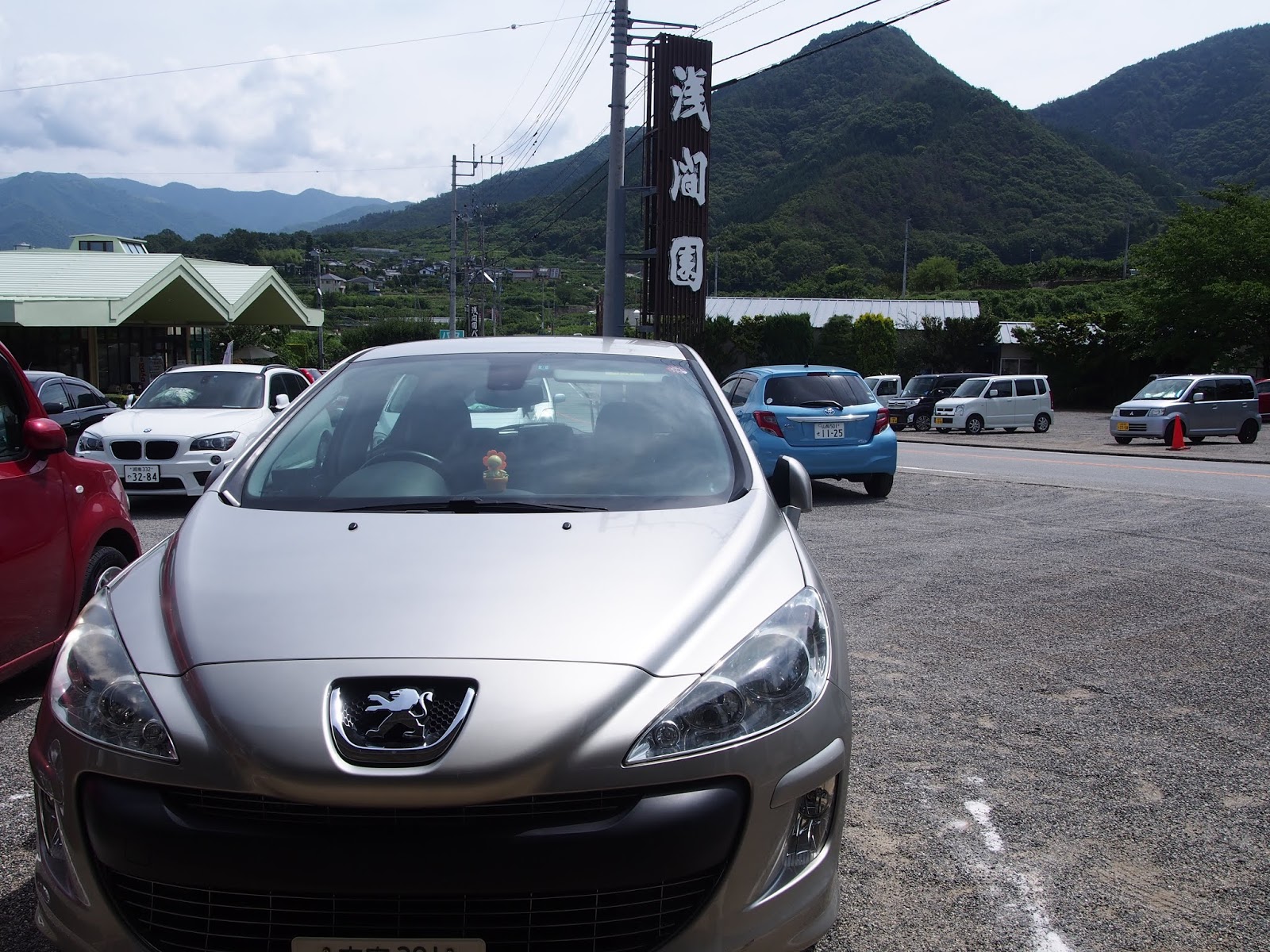 notebook: IrfanViewで画像の切り取り