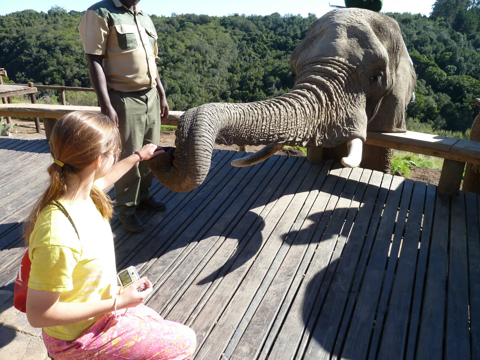 Ngihlala eNingizimu Afrika.: Animal Encounters