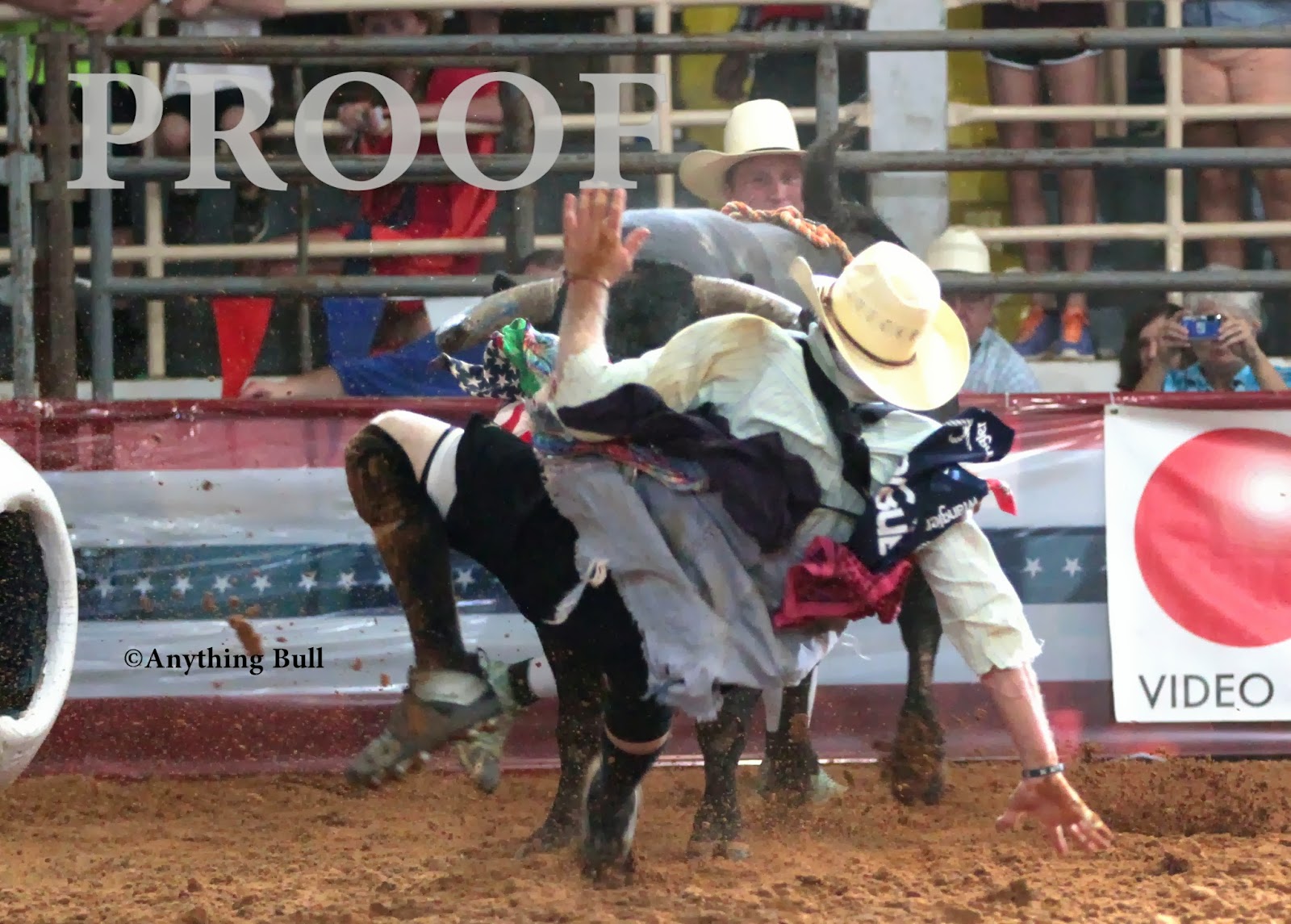 Anything Bull or Rusty: Saturday Round 4 - Clint Hopping