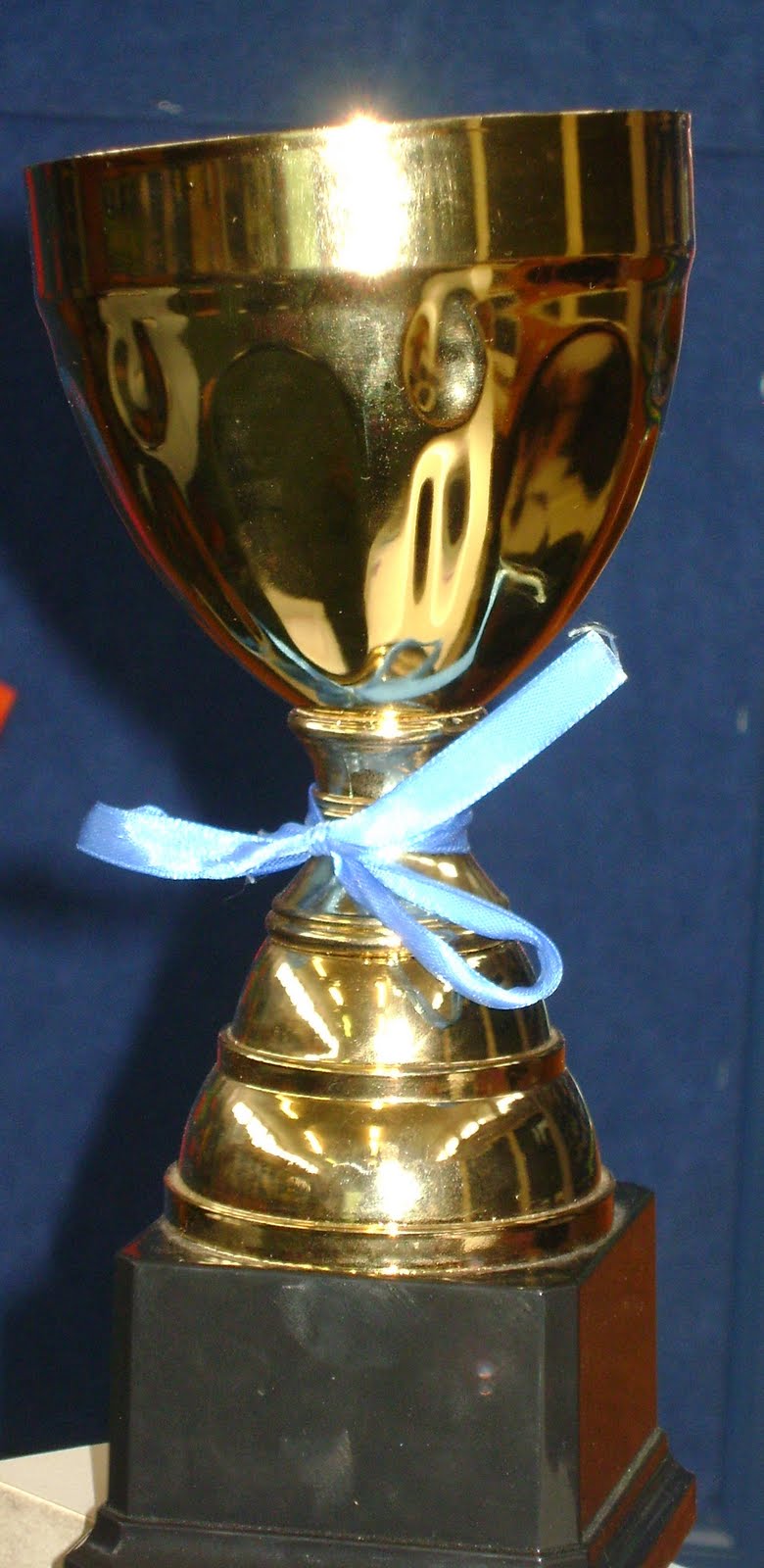 Room 1 Winton School: The Challenge Trophy!!!