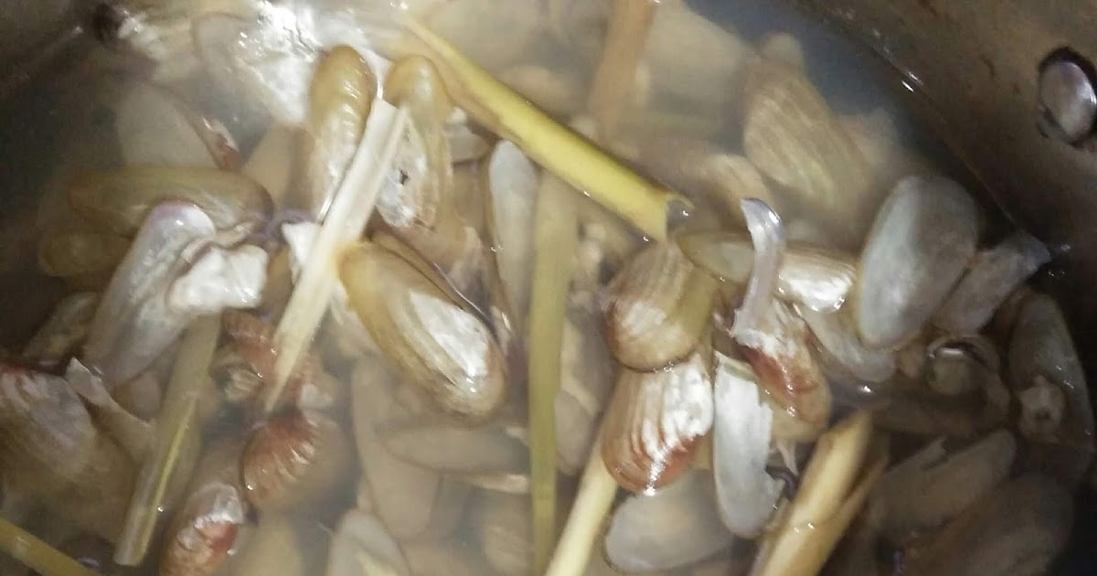 Cara Masak Kupang Paling Mudah