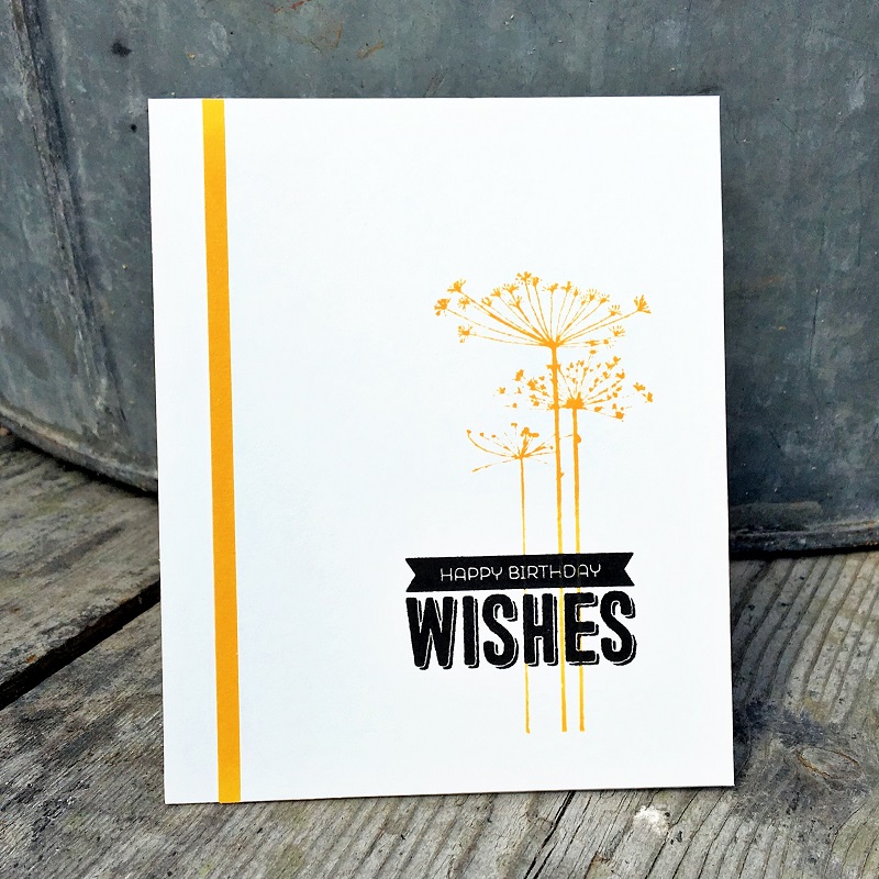 CASology: Week 257: WISH