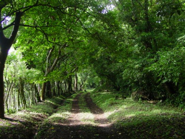 México, más allá de lo que sale en las peliculas: Catemaco... selva ...