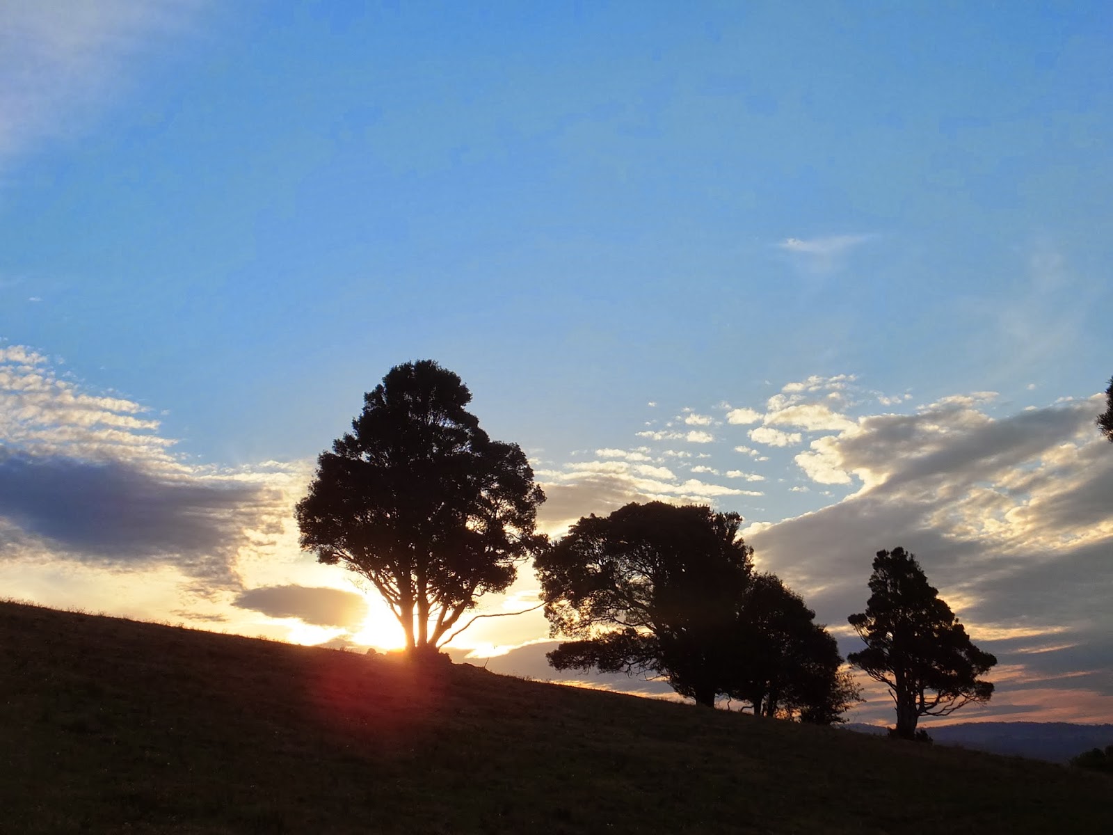 earthapplejane: Dry Spring