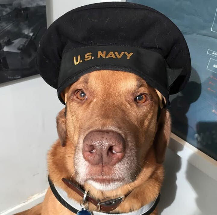 Roads to the Great War: From the U.S. Navy's WWI Collections — Photography