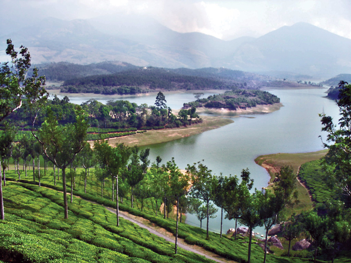 Munnar: A perfect destination for everyone - Techreo