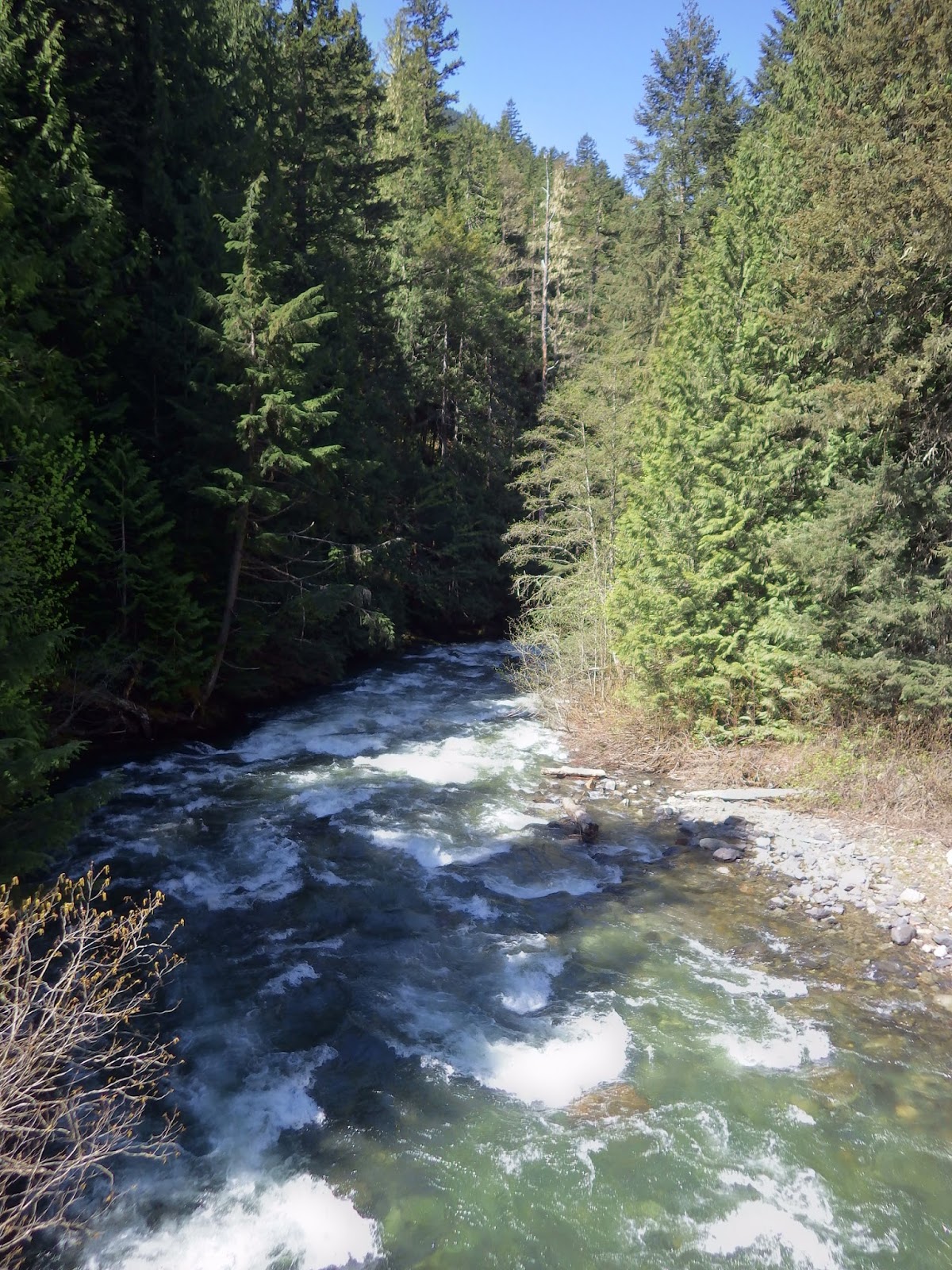 Dave'n'Kathy's Vagabond Blog: Hiking Lightning Lake in the E.C. Manning ...