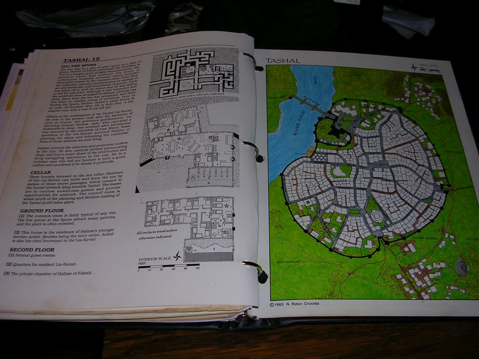 Bat in the Attic: All about Harn