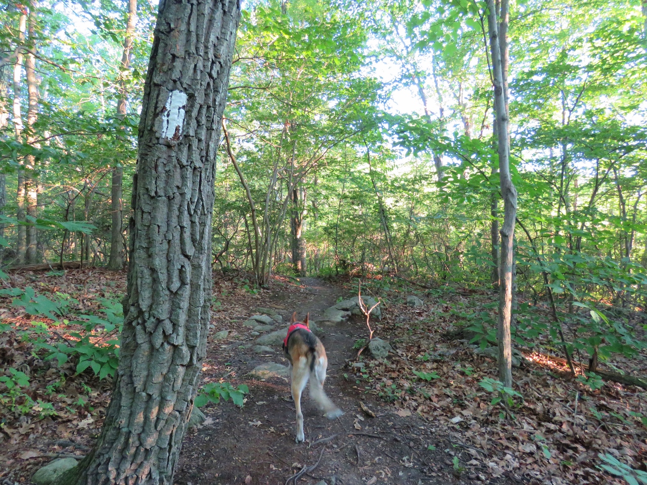 Gone Hikin': Fahnestock State Park, NY - Canopus Lake