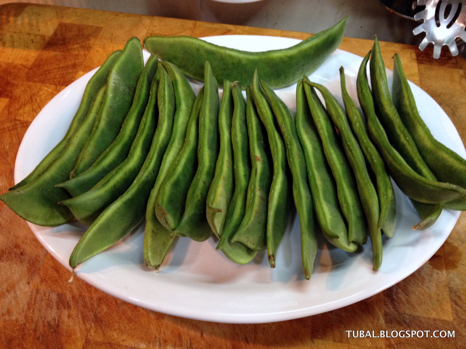 TUBAL: GARROFÓN O GARROFÓ DE VALENCIA