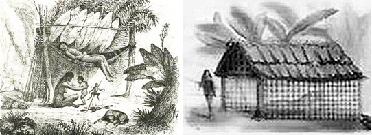 Índios Puris: Cultura Puri