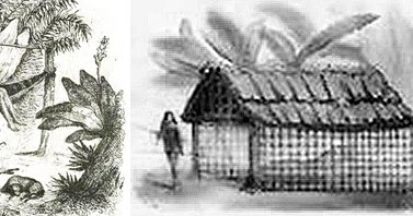 Índios Puris: Cultura Puri