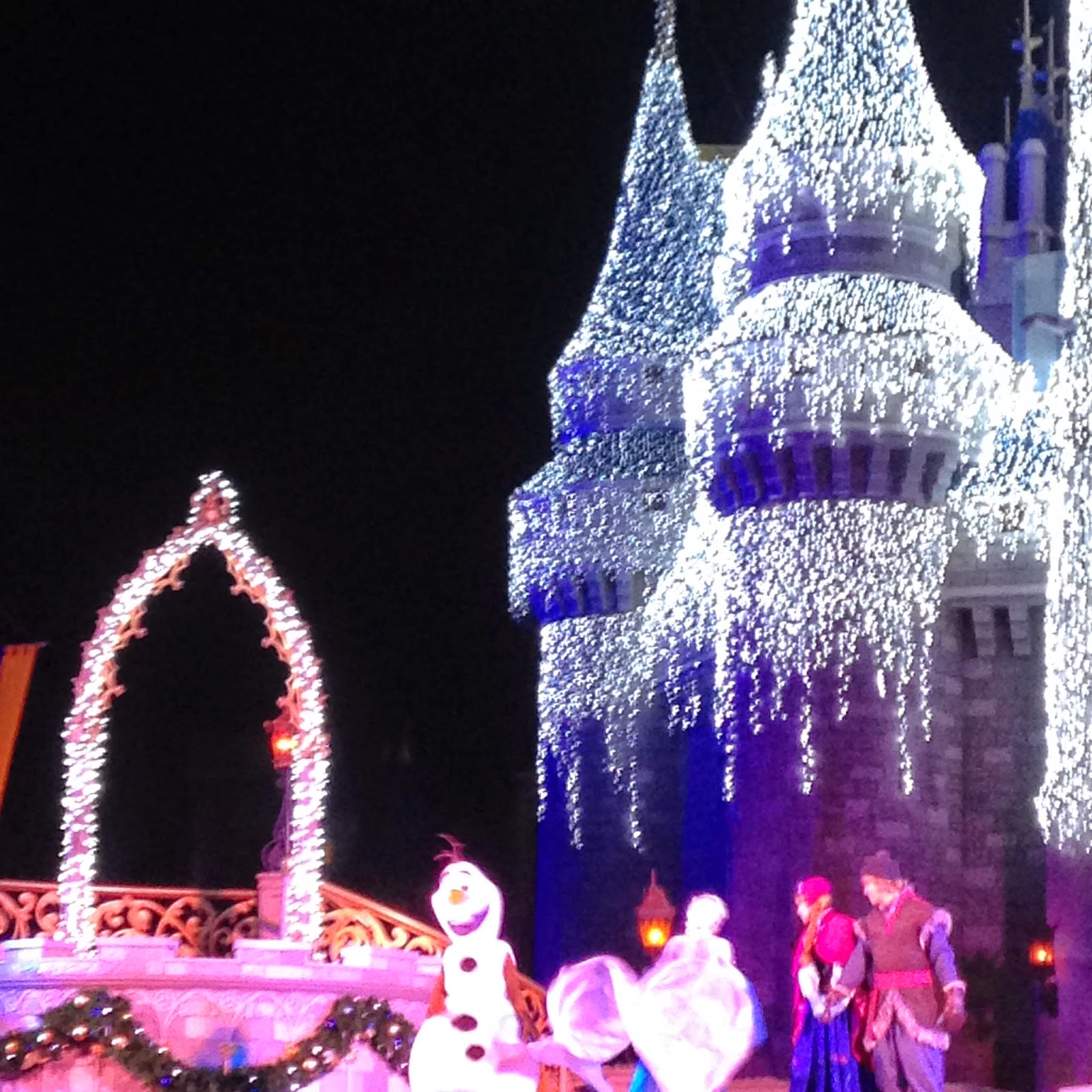 Mickey's Very Merry Christmas Party 2014 - Purple Chocolat Home