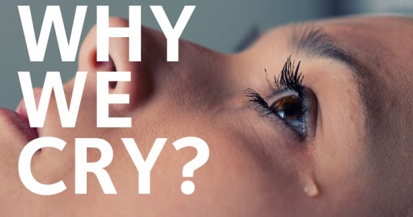 Why do we cry?