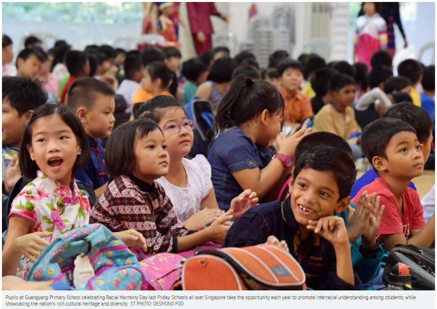 Singapore Racial Harmony