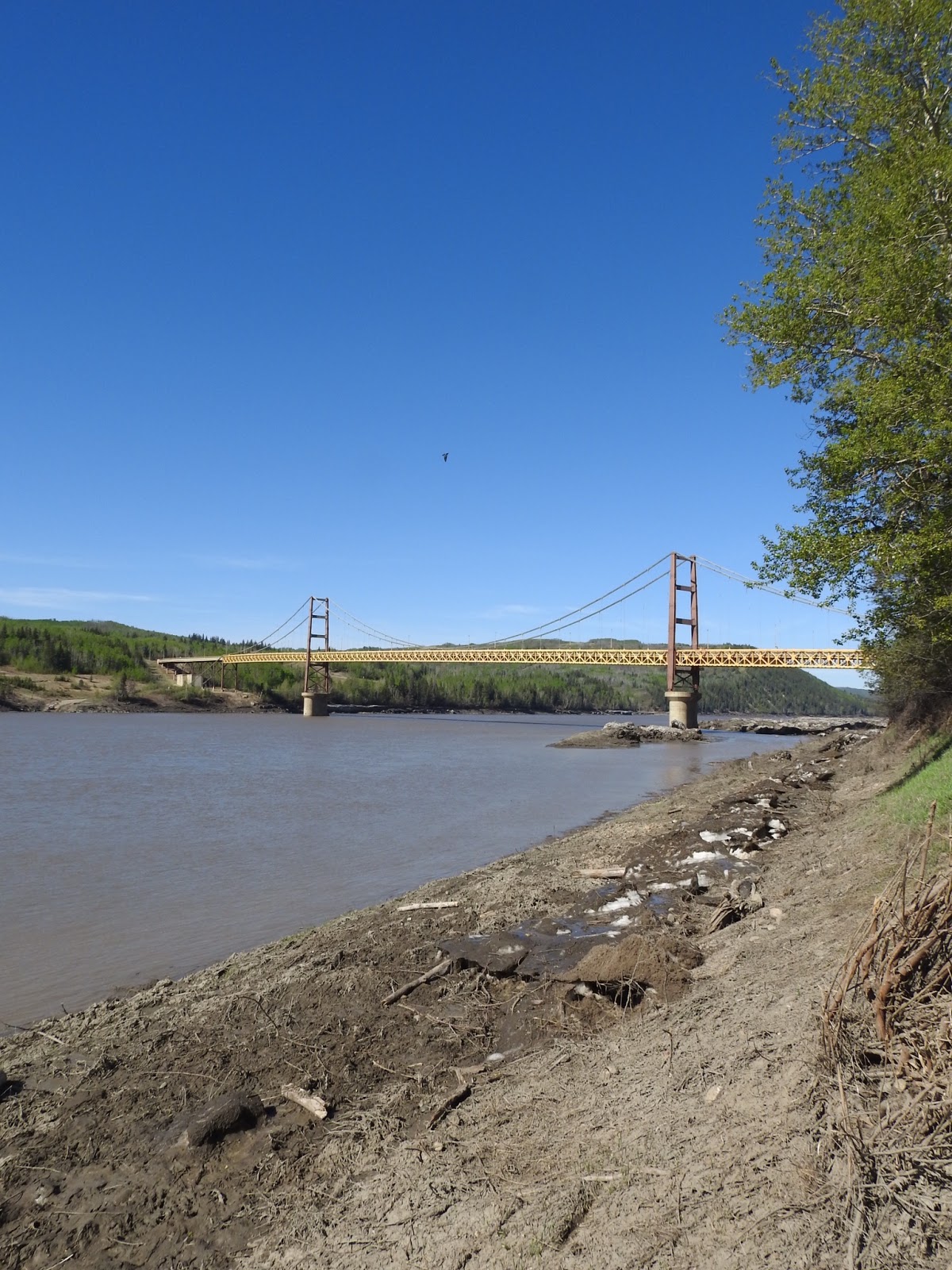 The view from here: Dunvegan Bridge