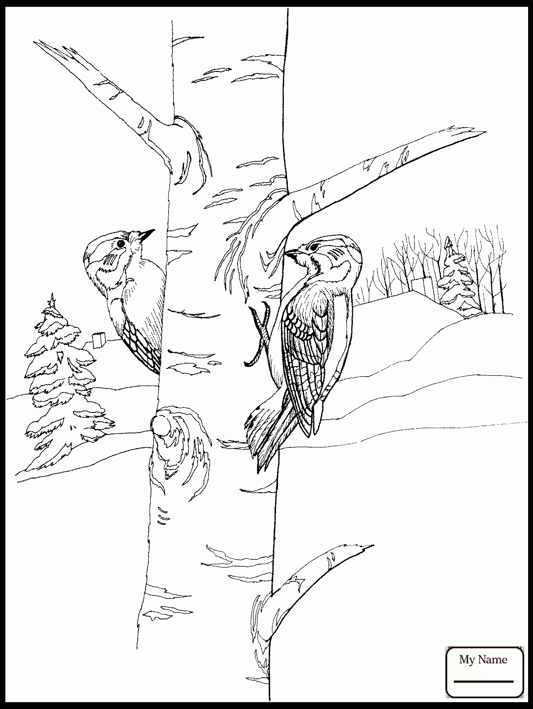 woodpeckers coloring pages - jiahajava