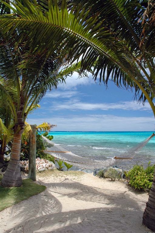 The Nicest Pictures: beach