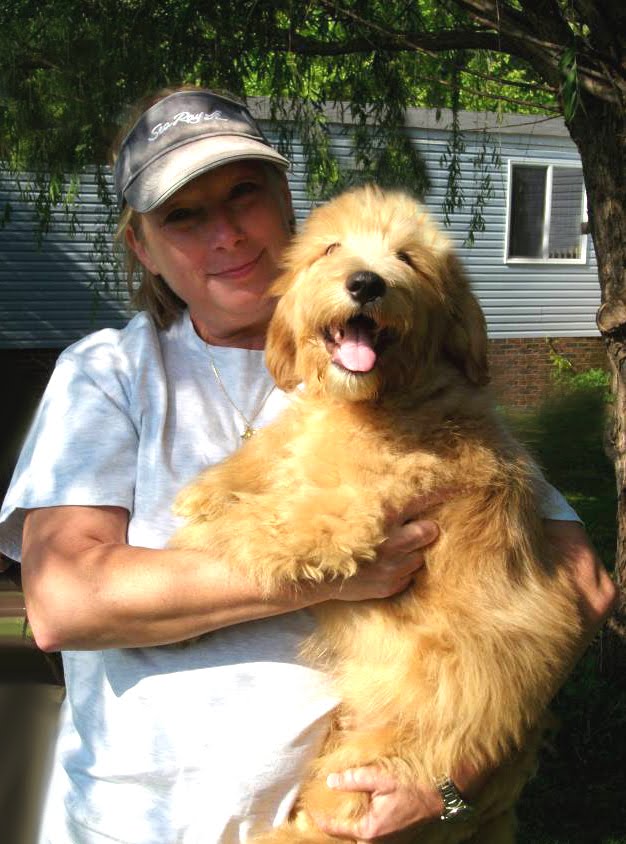 Dogs, blogs and Articles