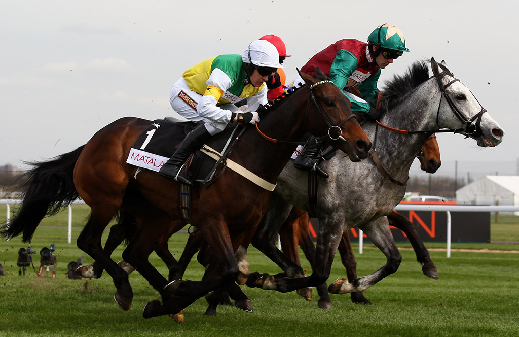 Cheltenham Races: August 2017