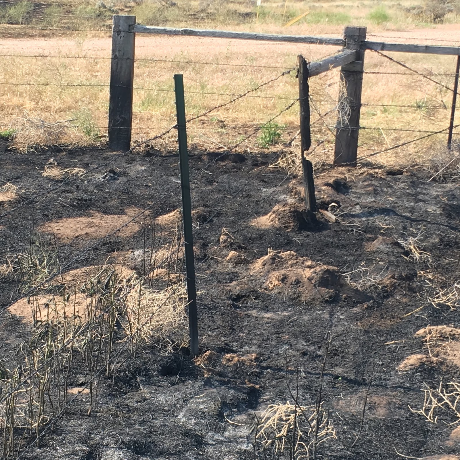 Alycia Quilts - Quiltygirl: Fire Burns, Fences and Fun