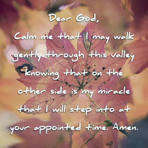 Dear God, Calm me that I may walk gently through this valley knowing ...