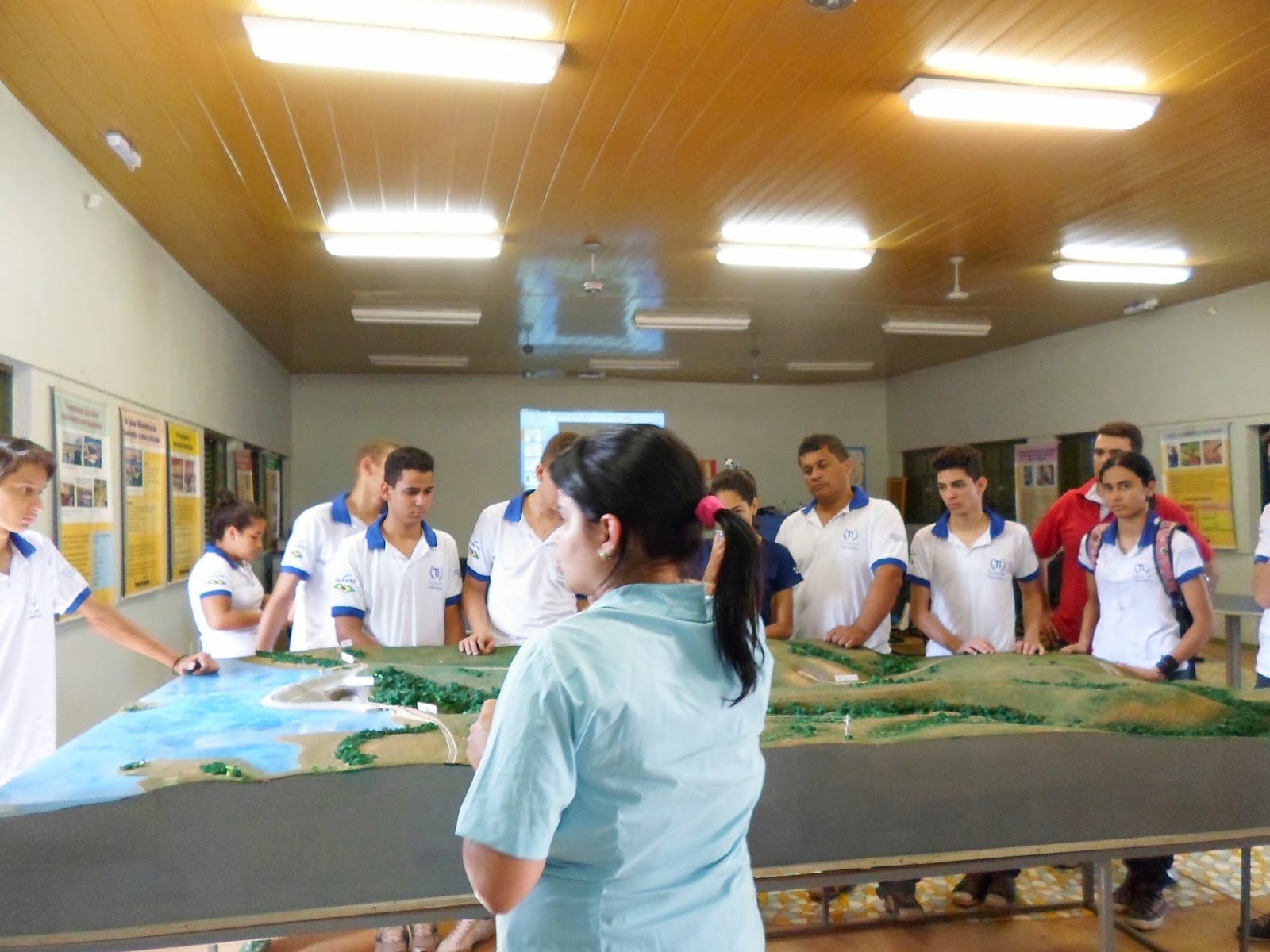 E.E. Domingos Pinto Brochado Unaí/MG