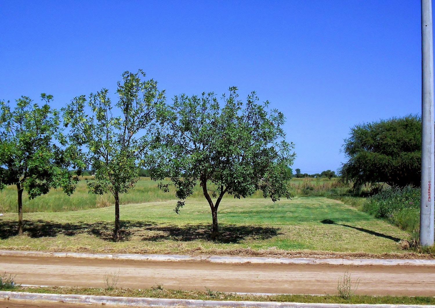 InfoPuan: TERRENOS BALDIOS LIMPIOS