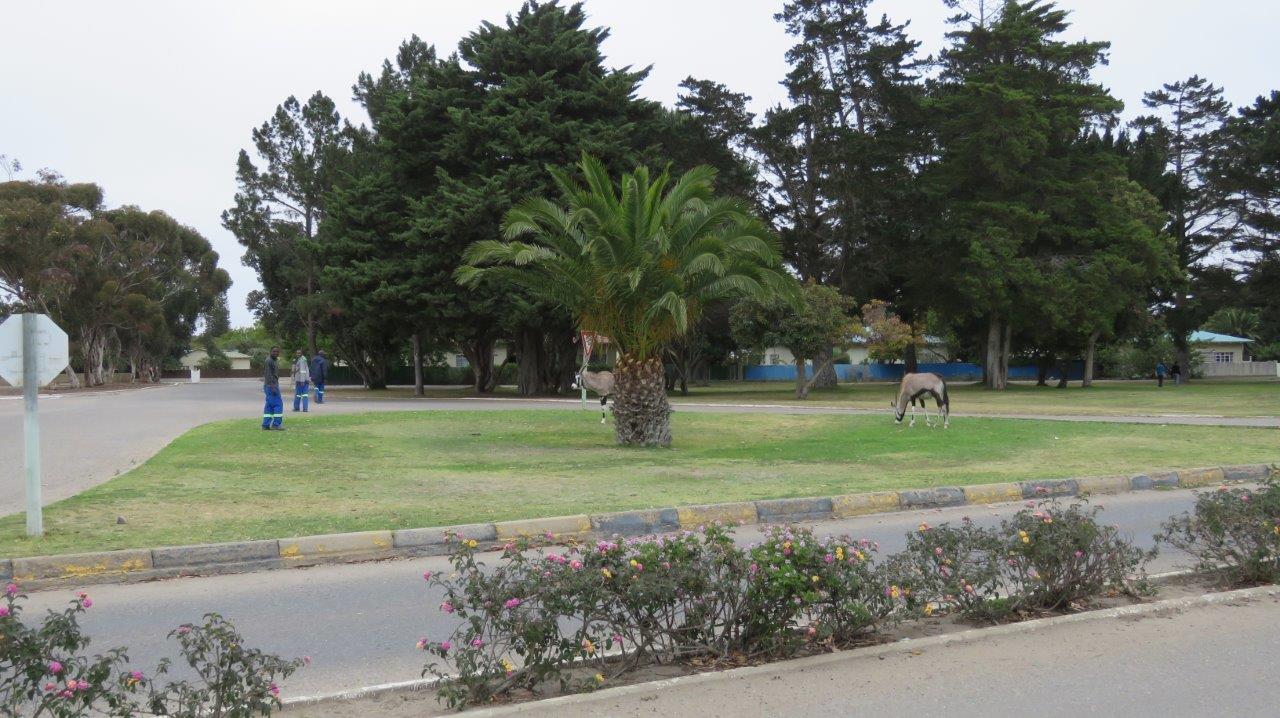 Southern Africa's Ramsar Sites: Orange River Mouth