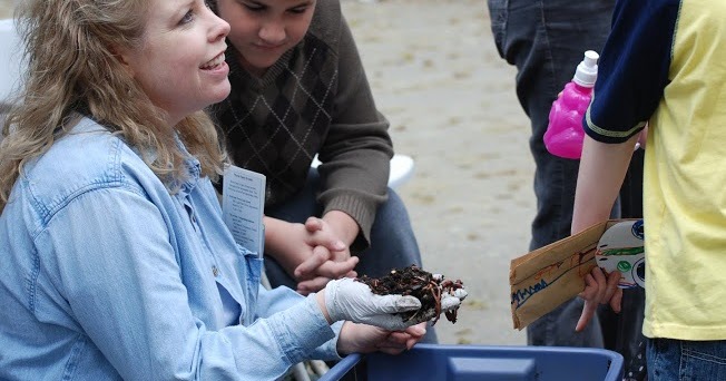 Worm Fancy: About Worm Fancy -- Sacramento area's worms and worm castings