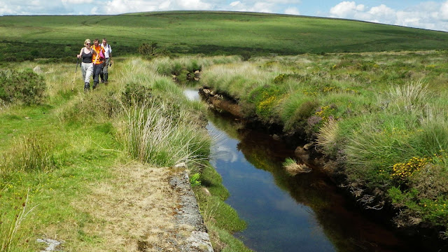 My Dartmoor Walks: Wednesday 7th August Hare Tor
