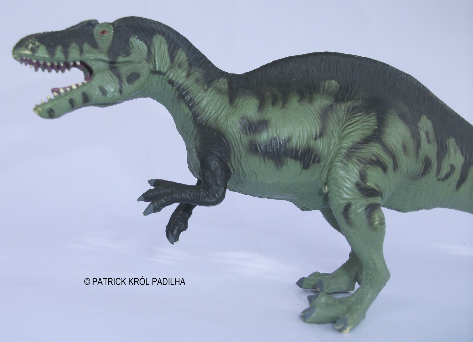 Dos Fósseis ao Plástico!: ACROCANTHOSAURUS ATOKENSIS (BATTAT)