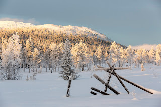 Lappland Nature