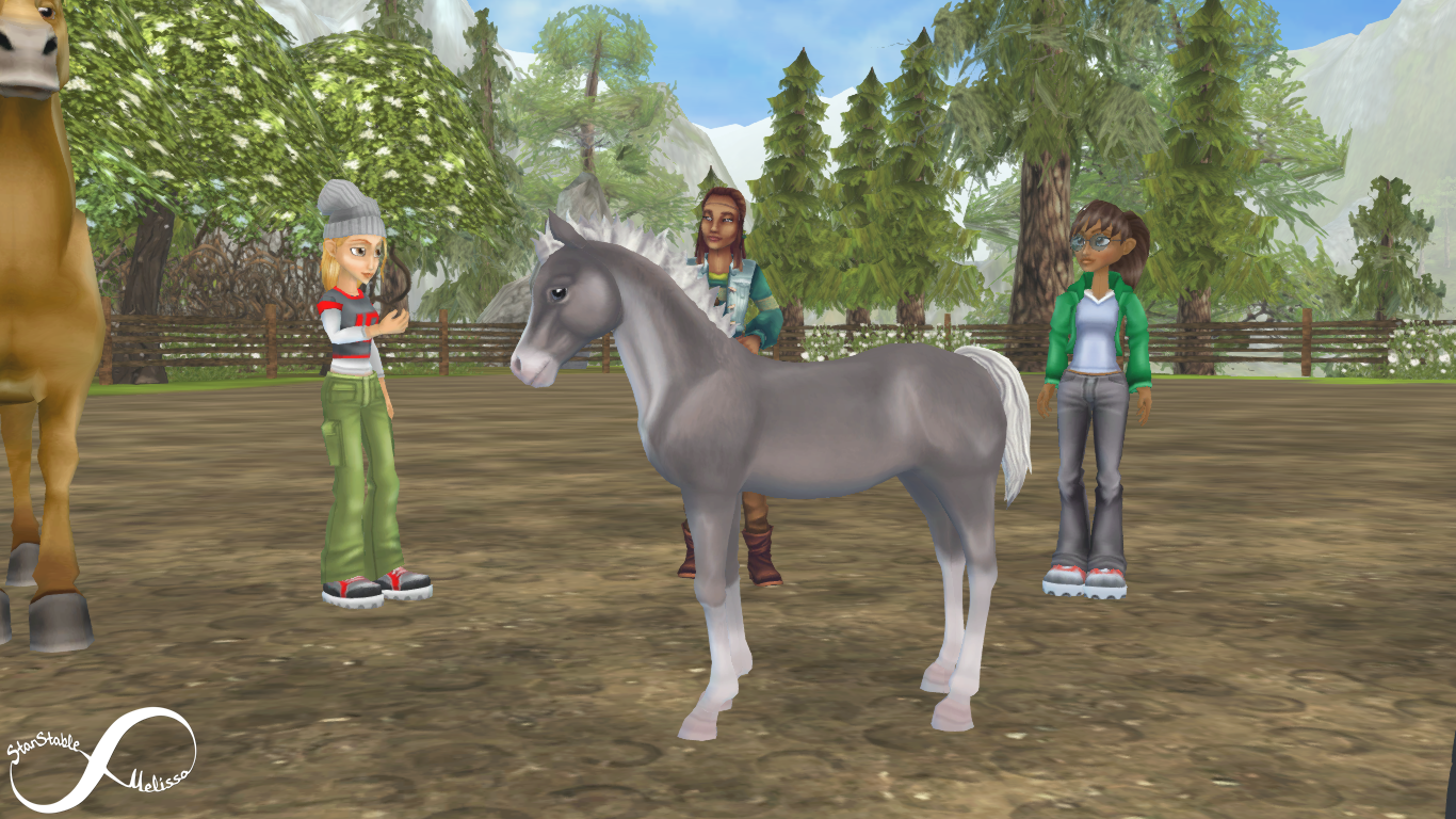 Star Stable Online Mel: Powrót Concorde'a i Dzikich Koni Jorveskich