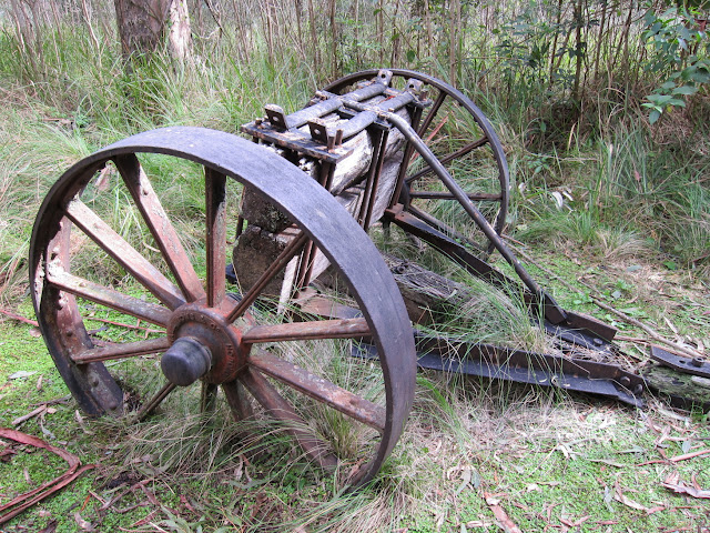 Hiking in S.E. Queensland: Mt. Matheson Circuit