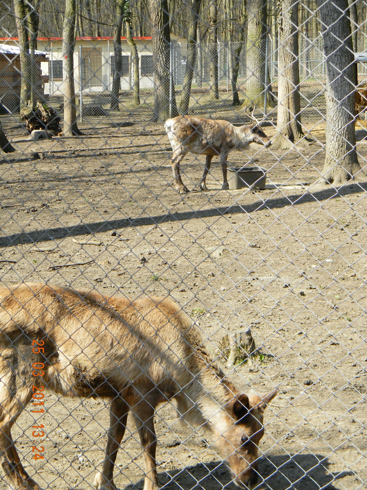 Trip-ideas: Gradina Zoologica din Timisoara